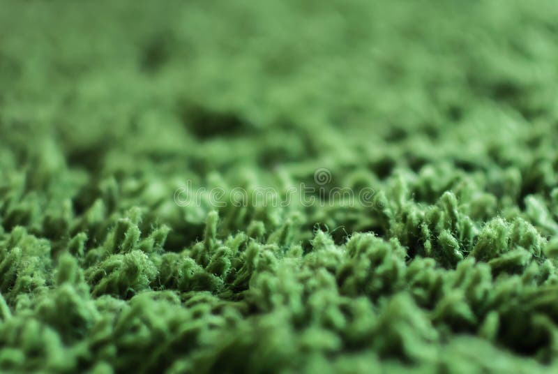 Carpet Grass Texture
