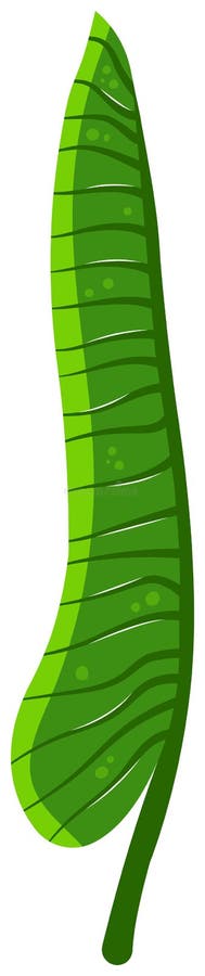 Green Cartoon Leaf with Dew Drops. Nature and Spring Themed Vector ...