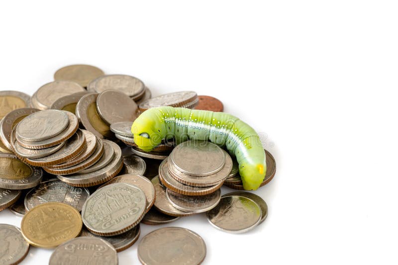 Green Caterpillar Climbing on Thai Coins Stock Photo - Image of ...