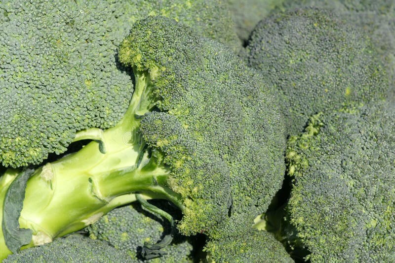 Cauliflower stock image. Image of cauliflower, natural - 21954359