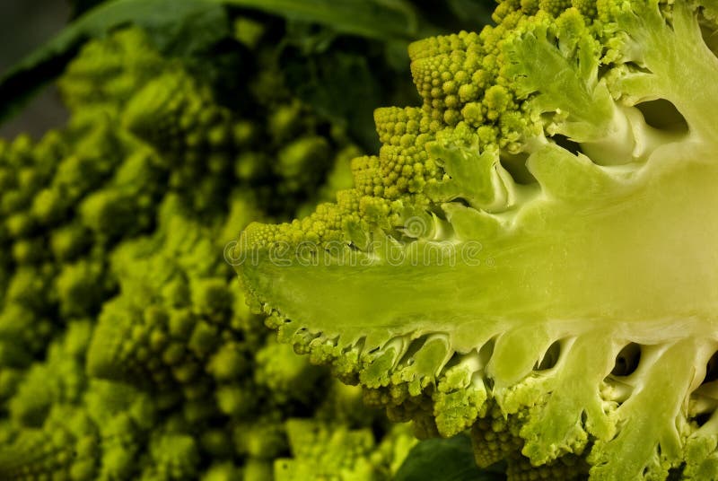 Green cauliflower stock photo. Image of green, close - 12750208