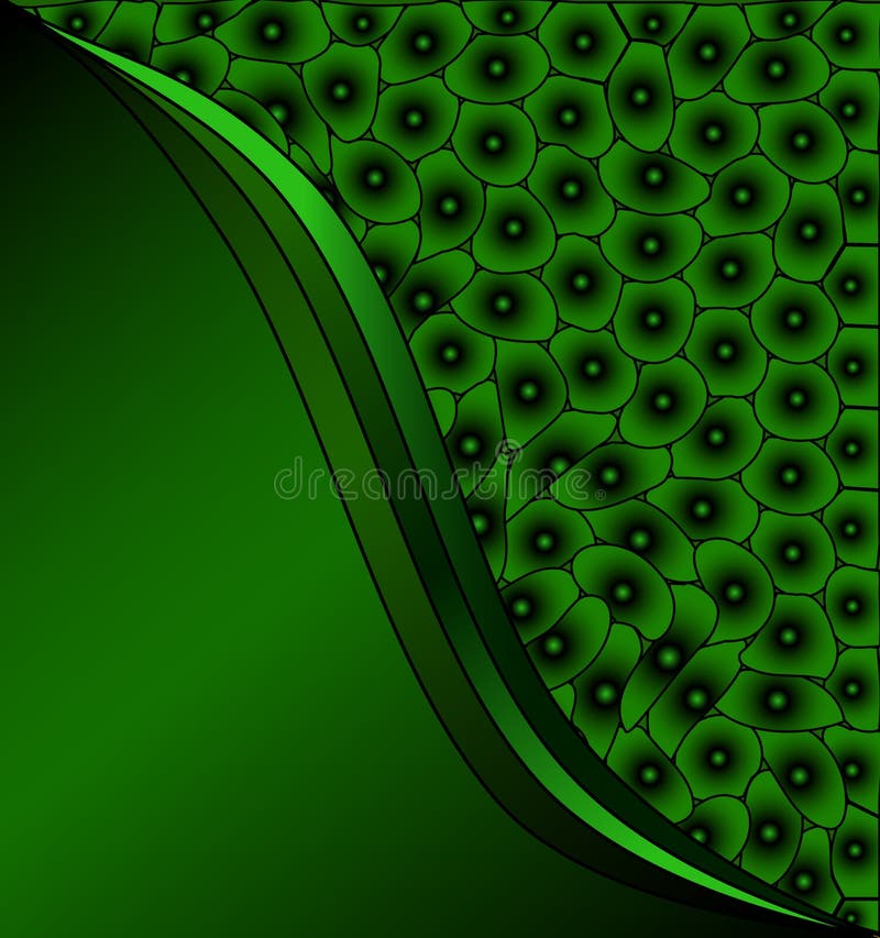 Blank Cells Stock Illustrations – 2,066 Blank Cells Stock Illustrations ...