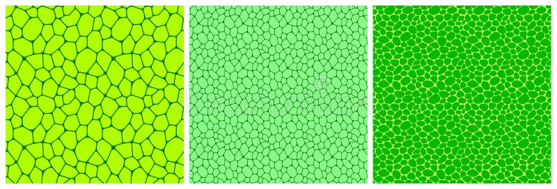 Green Cells Seamless Pattern Set. Leaf Structure Vector Illustration ...