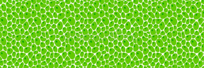 Green Cells Seamless Patterns Set. Leaf Structure Vector Illustration ...