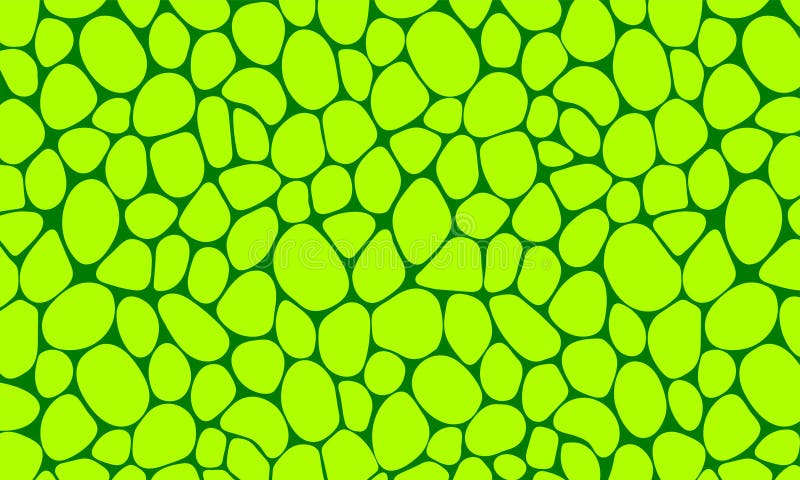 Green Cells Vector Background. Leaf Structure Close Up Illustration ...