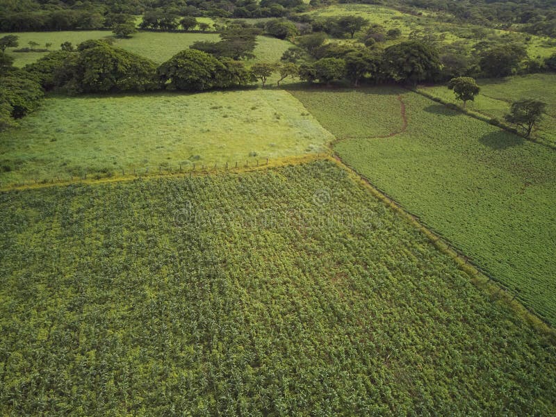 Green Central America Landscape Stock Image - Image of land, harvest ...