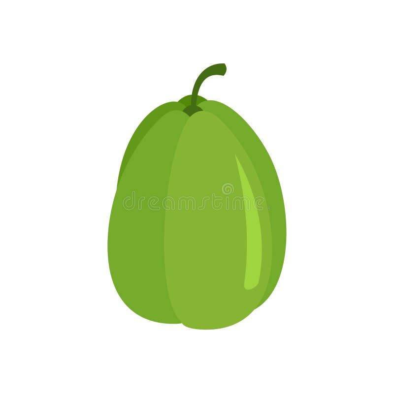 Chayote Vector Stock Illustrations – 269 Chayote Vector Stock ...