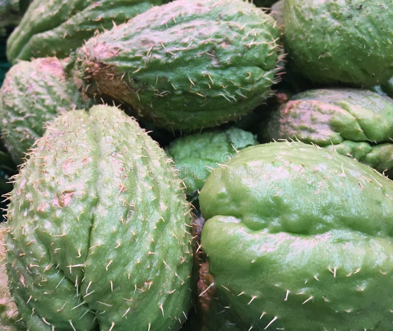 Green Chayote Squash Display Stock Photo - Image of market, fresh ...