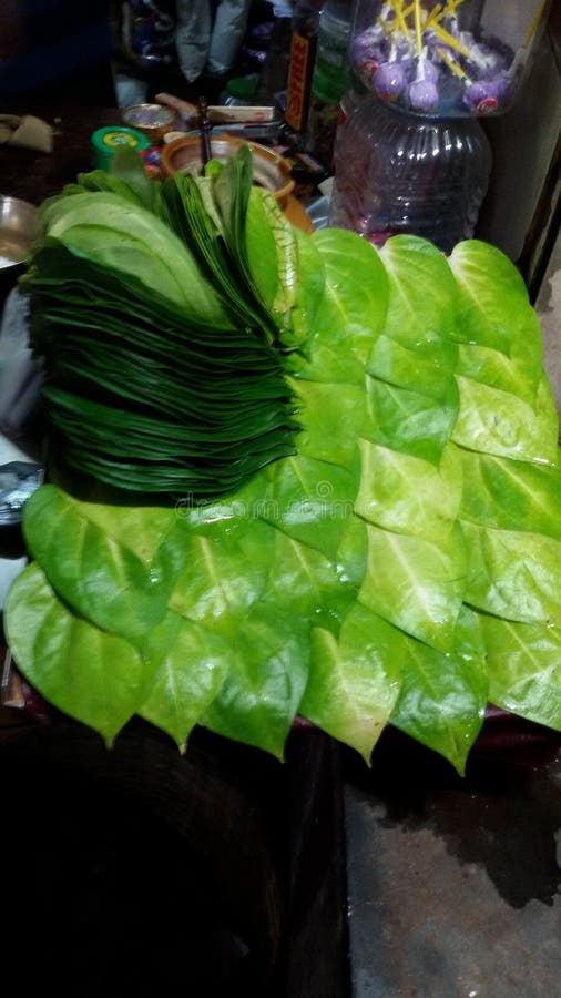 Green Chewing Leaves Arranged in a Shop Stock Photo - Image of people ...