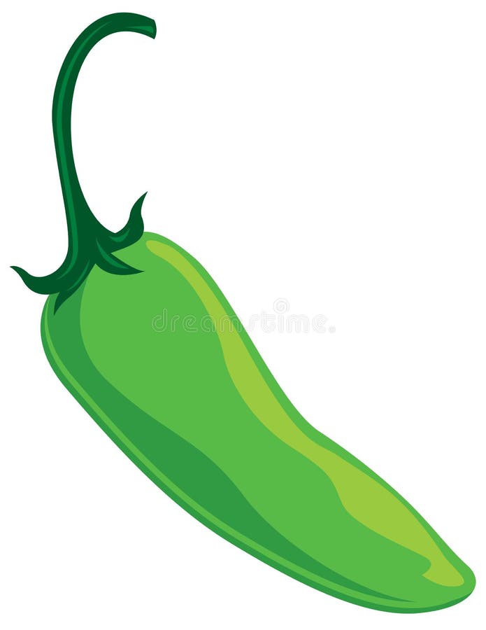 Green Pepper, Vector or Color Illustration Stock Vector - Illustration ...