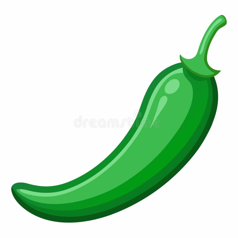 Green chili pepper stock vector. Illustration of food - 353198370