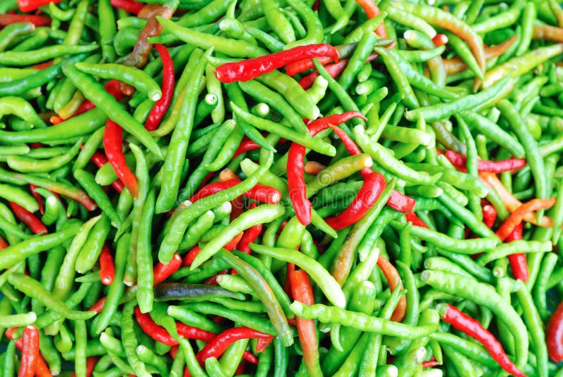 Green chilli stock photo. Image of freshness, market - 33206624