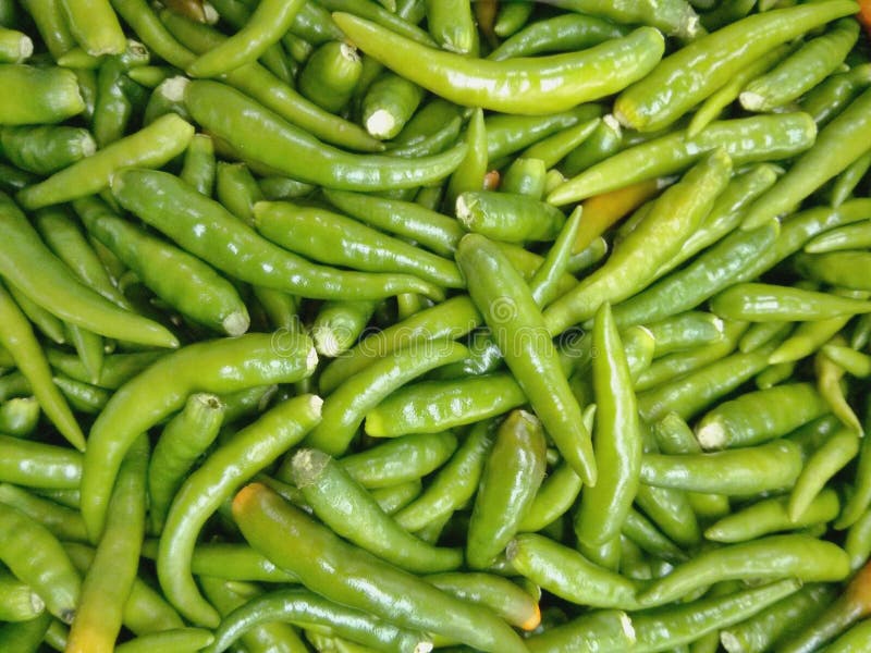 Green chilli stock image. Image of food, green, fresh - 48884011