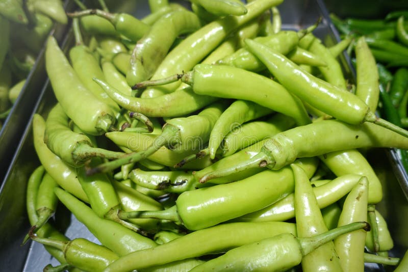 Green chilli stock image. Image of background, long - 102539547