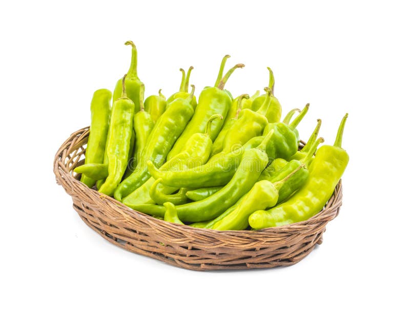 Red and Green Chilli stock photo. Image of peper, chily - 105608122