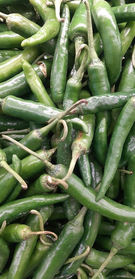 Green Chilli at Indonesian Market Stock Image - Image of cooking ...