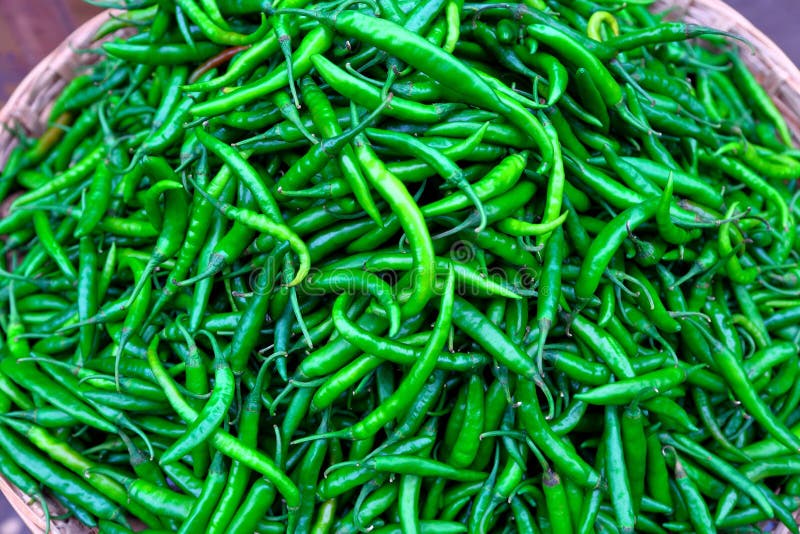 Green Chilli Sold in Market Stock Image - Image of pepperoni, organic ...