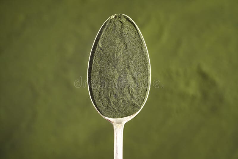 Green Chlorella Algae Powder on a Metal Spoon - Nutritional Supplement ...