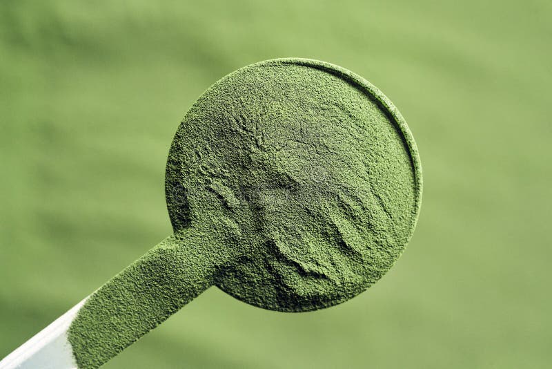 Green Chlorella Algae Powder in a Plastic Measuring Spoon Stock Image ...