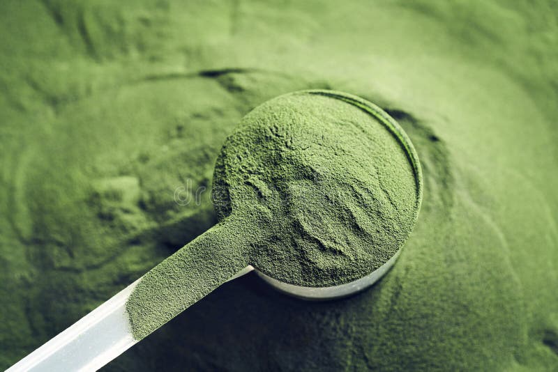 Green Chlorella Algae Powder in a Plastic Measuring Spoon - Healthy ...