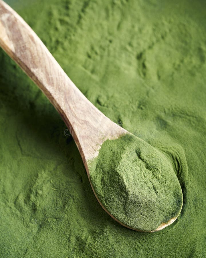 Green Chlorella Algae Powder on a Spoon Stock Image - Image of natural ...