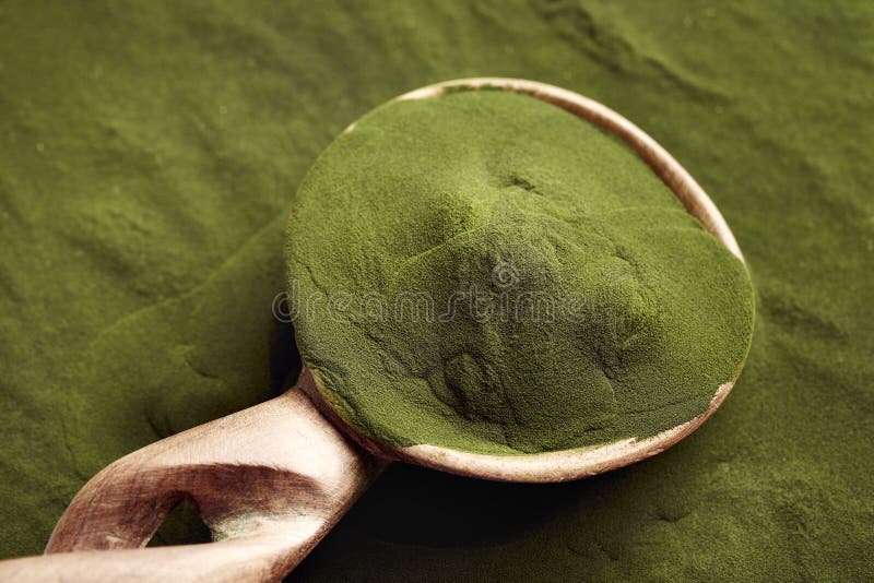 Green Chlorella Algae Powder on a Wooden Spoon - Nutritional Supplement ...