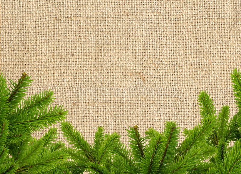 Green Christmas Tree Branch on Linen Texture Stock Photo - Image of ...