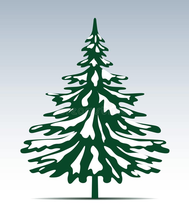 Green Spruce Tree with Roots. Vector Outline Illustration Stock Vector ...