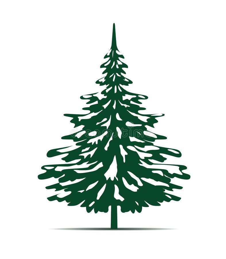 Green Spruce Tree with Roots. Vector Outline Illustration Stock Vector ...