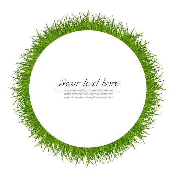 Green circle grass stock illustration. Illustration of foliage - 17096586