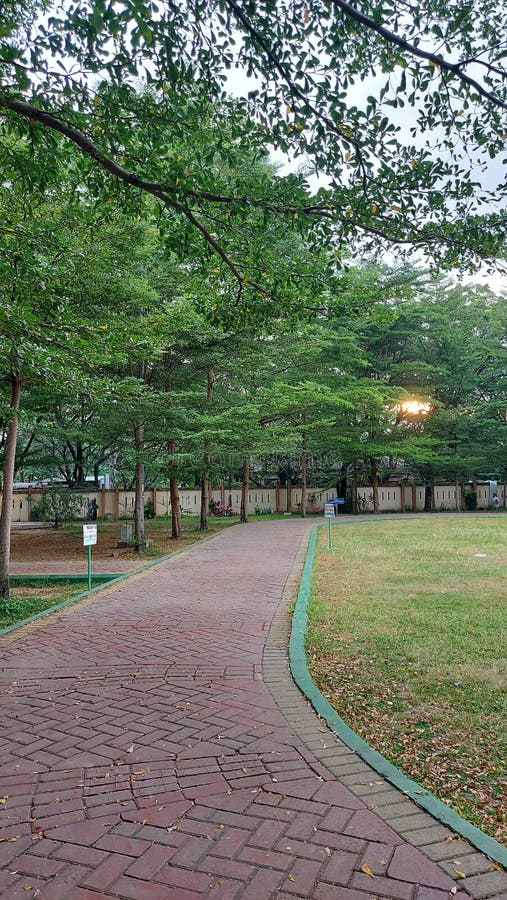 Green and Clean Jogging are, Walking Area Stock Photo - Image of green ...