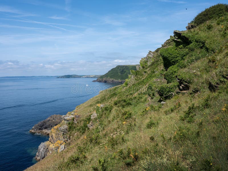 Green Cliffs at Lantic Bay in Cornwall Stock Photo - Image of seaside ...