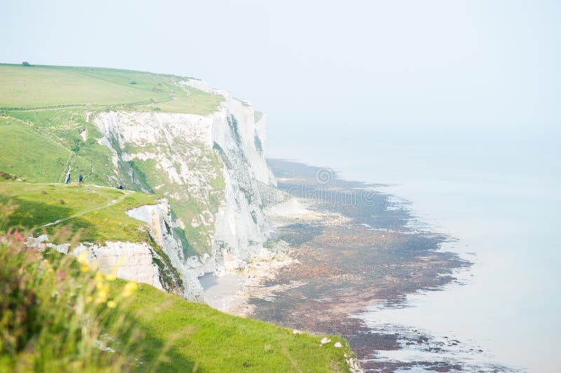 Green Cliffs at the Shore of the Ocean on a Bright Summer Day Stock ...