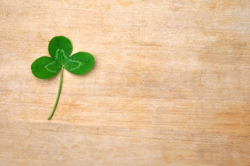 Green Clover Leaf on Wood Board Stock Image - Image of seamair, holiday ...