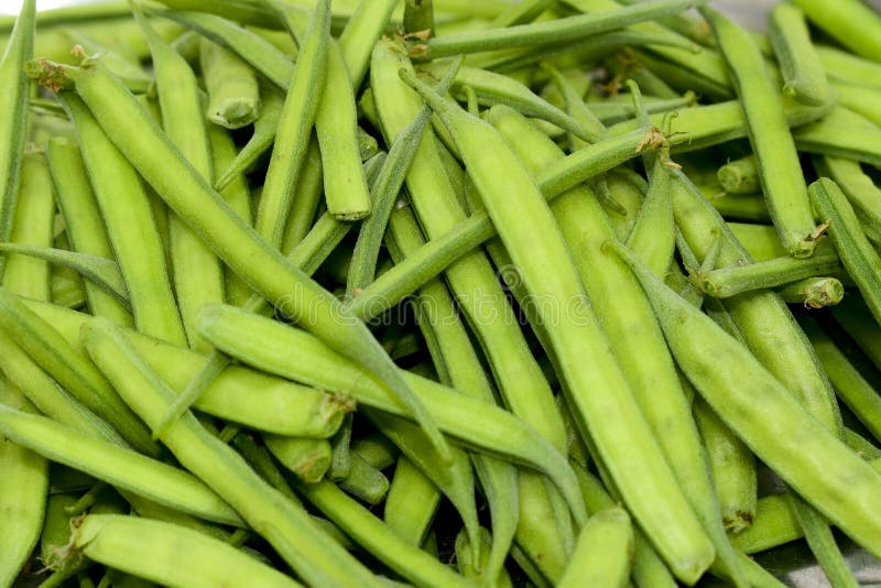 Green cluster, guvar beans stock photo. Image of health - 248179902