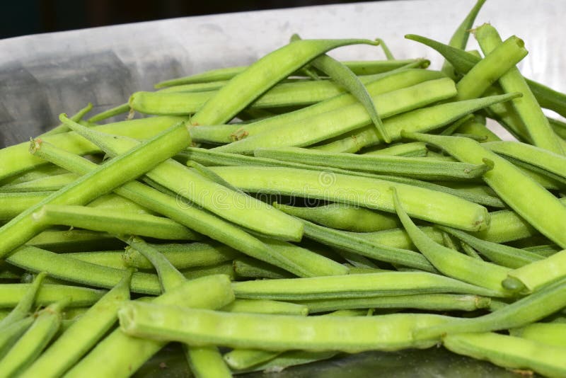 Green cluster, guvar beans stock photo. Image of health - 248179902