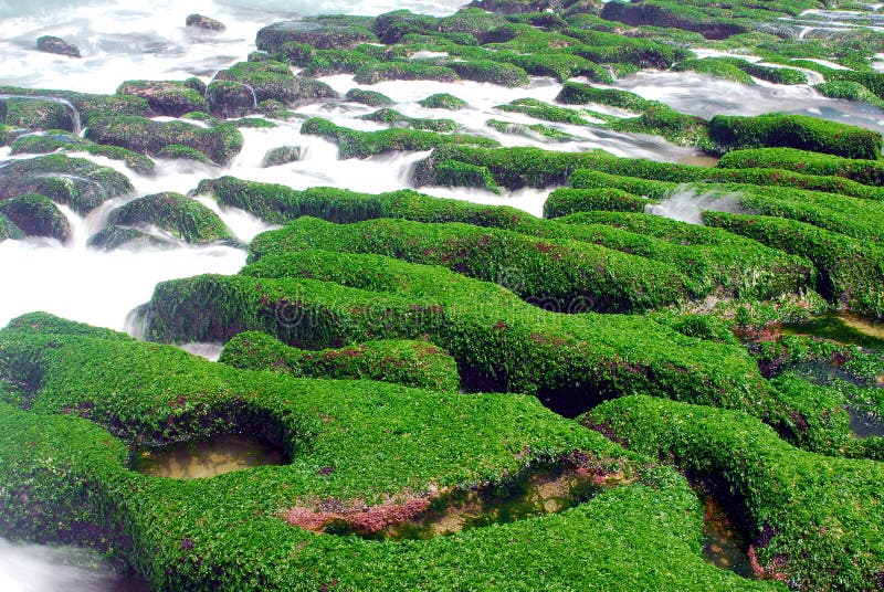 Green Coast stock photo. Image of season, ocean, horizon - 15176104