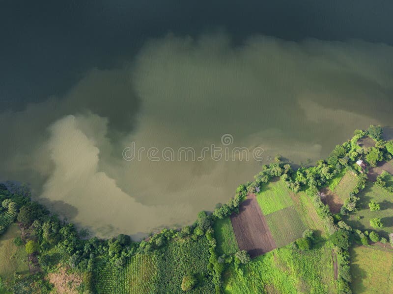 Green Coast Landscape Above Top View Stock Photo - Image of texture ...