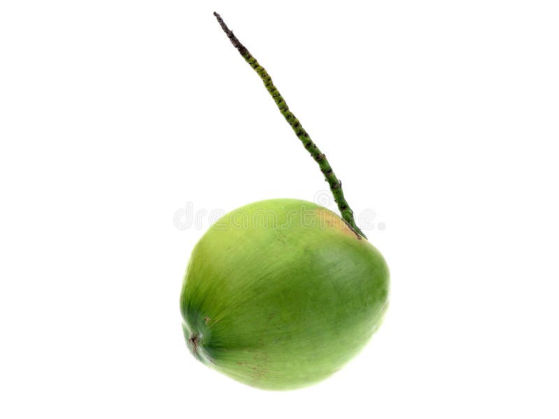 Green Coconut Isolated on White Background Stock Photo - Image of diet ...
