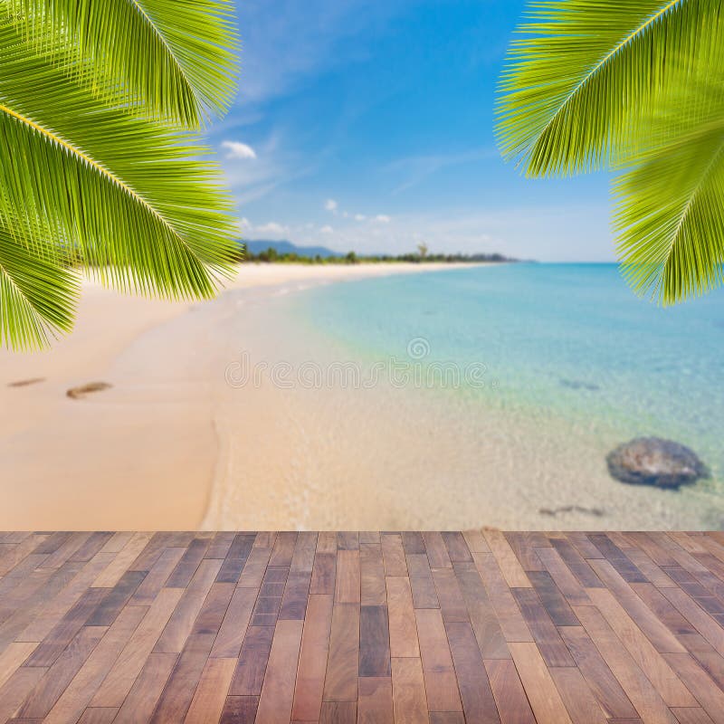 Green Coconut Leaves Frame With Wood Floor On Green Grass Field Stock ...