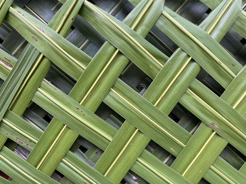 221 Pattern Coconut Leaves Woven Stock Photos - Free & Royalty-Free ...
