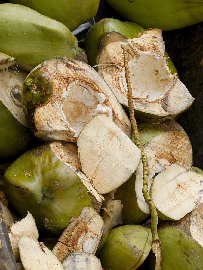 Green coconut shell stock photo. Image of hard, nutrition - 16758834