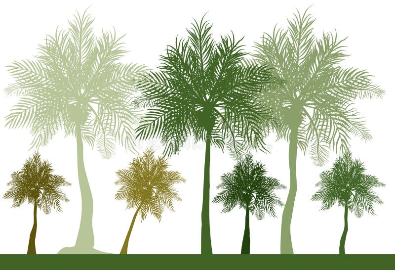 Green Coconut Trees or Various Shades Stock Vector - Illustration of ...