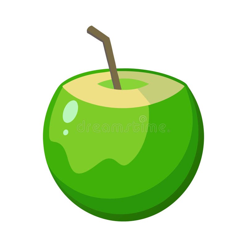 Green Coconut Vector stock vector. Illustration of document - 344232086