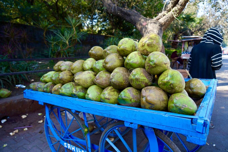 Green Coconut Water Selling in the Streets on Wagon,Raw Coconut ...