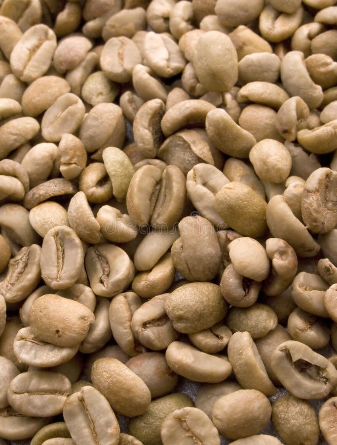 Green coffee beans stock photo. Image of white, close, home - 611902