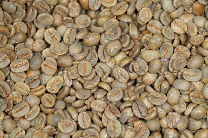 Green coffee beans stock photo. Image of beverage, coffee - 48018104