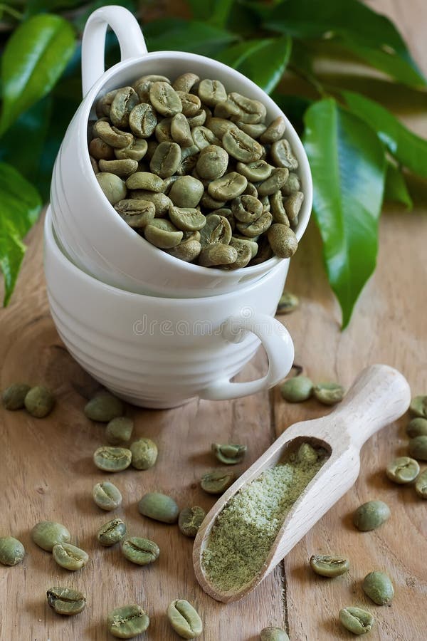Green coffee stock image. Image of fitness, crop, culture - 40771831