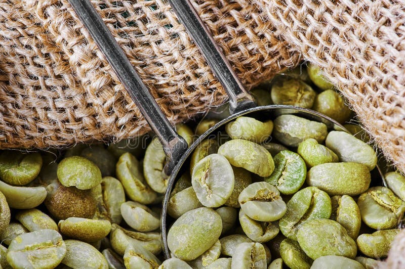 Green coffee beans stock photo. Image of closeup, coffee - 74415474