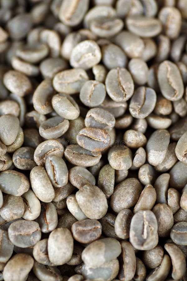 Green coffee beans stock image. Image of textured, green - 19159241